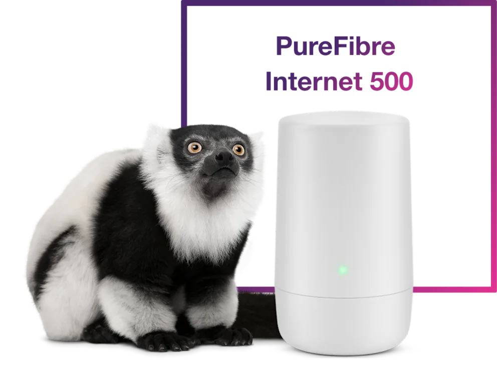 Get PureFibre Internet 500 for $85/mo. | TELUS