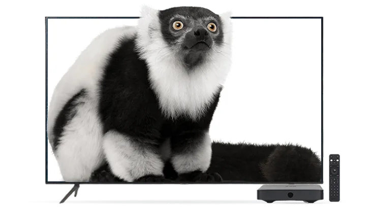 Enjoy streaming and live TV with Optik TV | TELUS