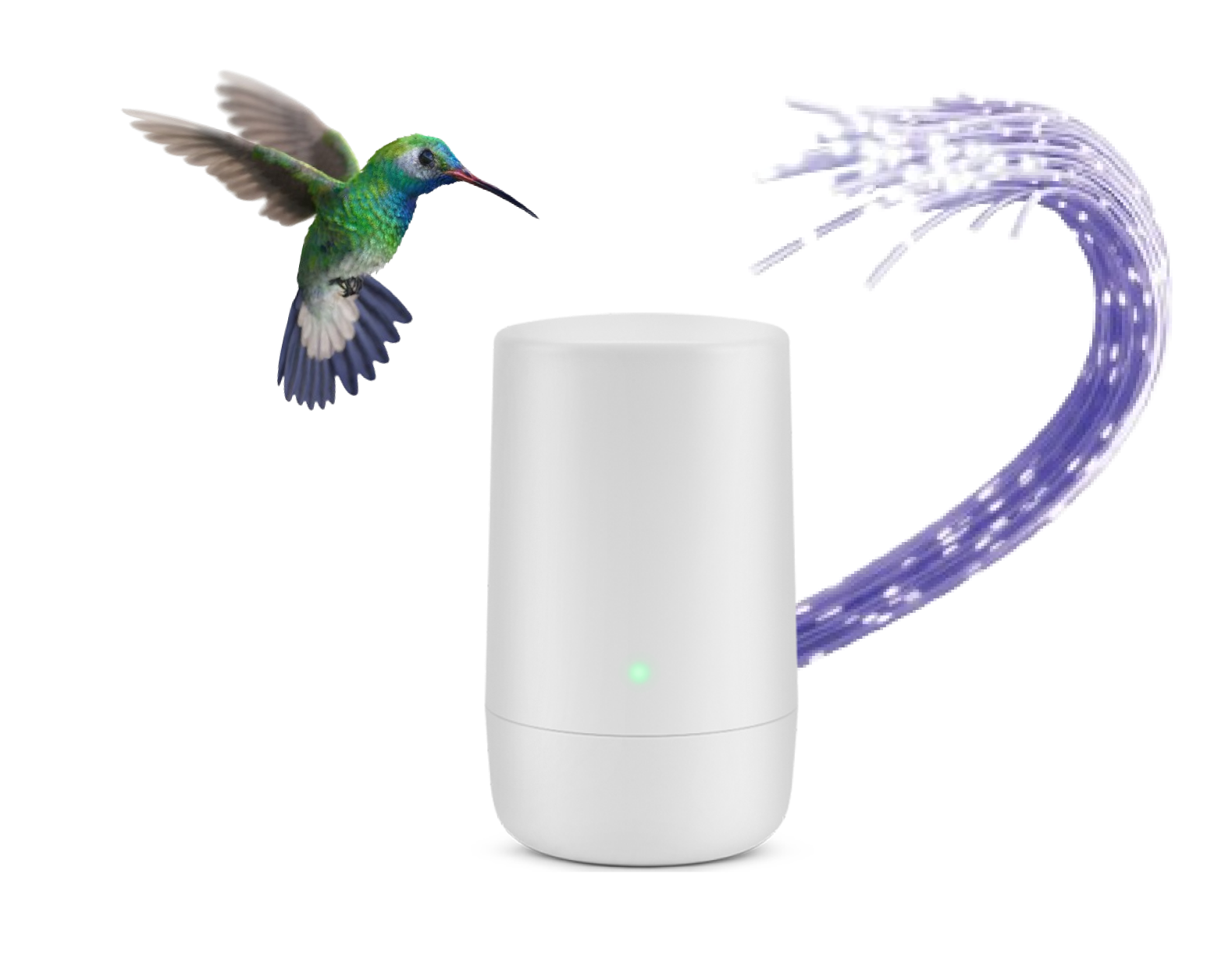 Get 3X PureFibre Gigabit Internet today and save $100 | TELUS