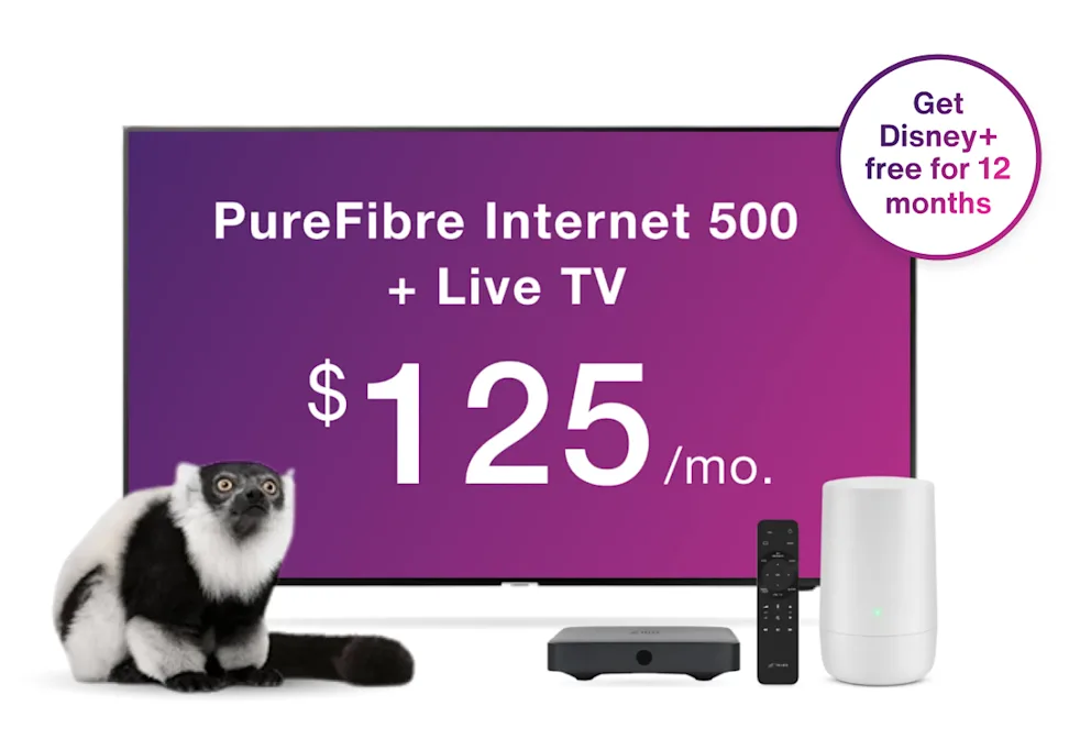 Live TV And Netflix With Internet 500 | TELUS