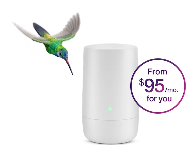 Get 3X PureFibre Gigabit Internet today and save $100 | TELUS