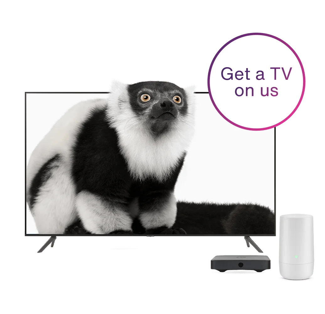 Phones, Internet and TV on the most-awarded network | TELUS