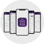Home and Online Security Solutions | TELUS