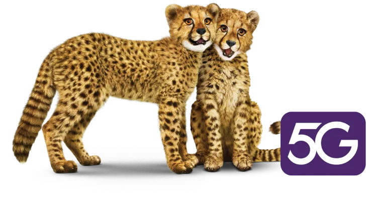 Économisez sur nos téléphones avec Option retourᵐᶜ | TELUS