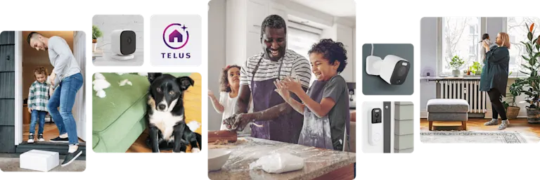 Security and Automation Solutions For Every Home | TELUS SmartHome