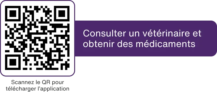 Mon Animal TELUS Santé | TELUS