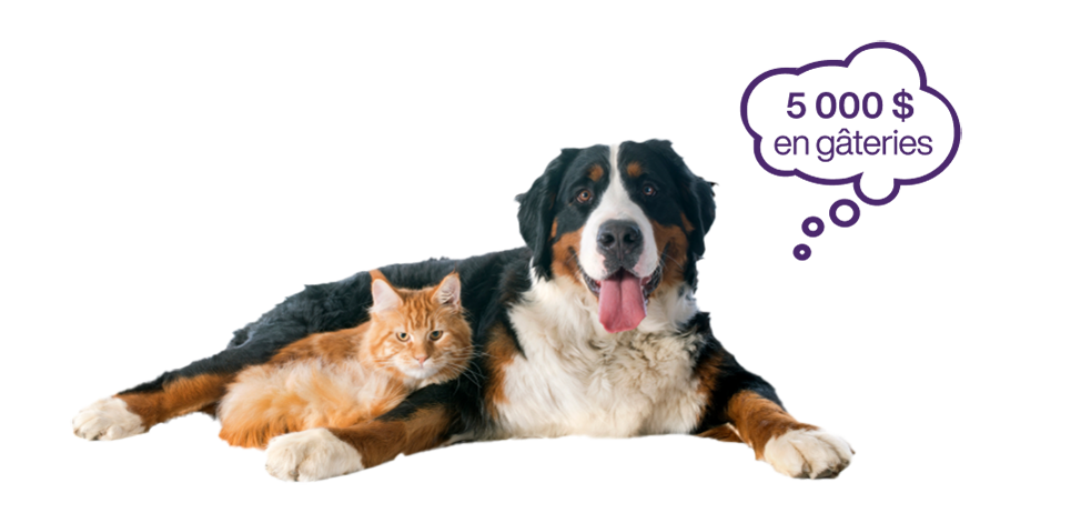 Concours de Mon Animal TELUS Santé | TELUS