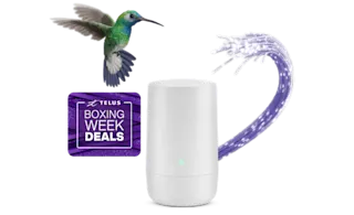 Save on PureFibre Gigabit Internet | TELUS