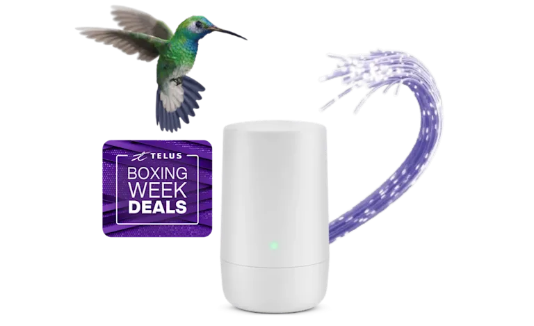 Save on PureFibre Gigabit Internet | TELUS