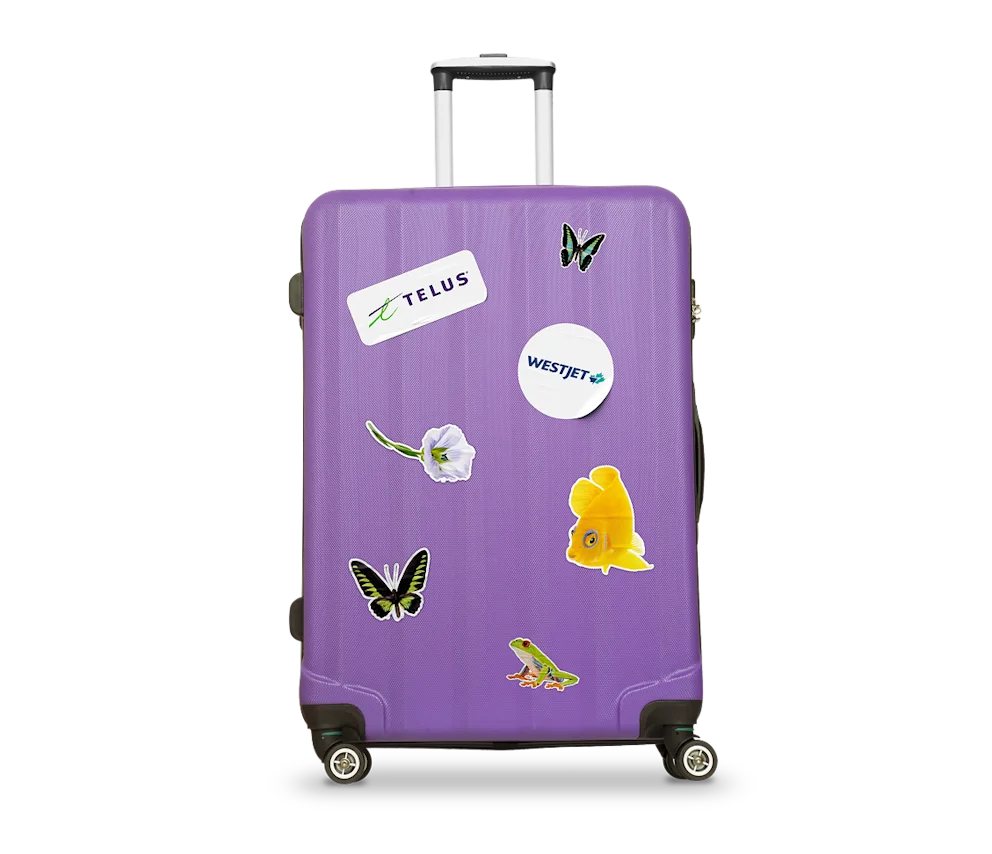 Connect your world, elevate your journey | TELUS