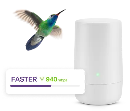Home Internet - Get Unlimited High Speed Internet | TELUS