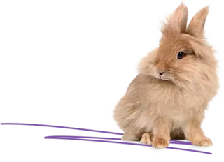 Critter fun | TELUS