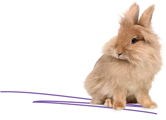Amusons-nous avec les animaux-vedettes | TELUS