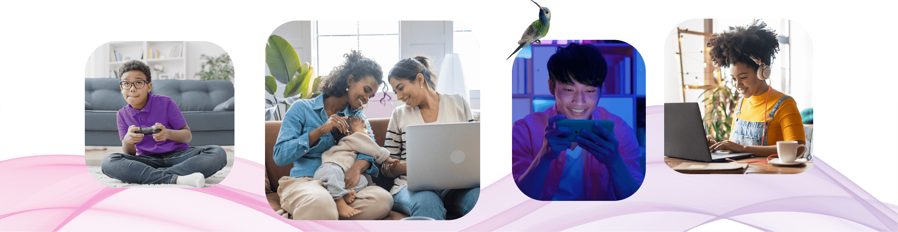 PureFibre high-speed home internet | TELUS