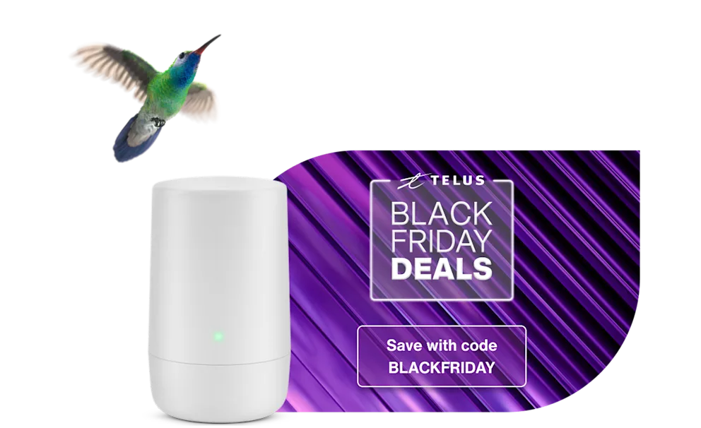Get 3X PureFibre Gigabit Internet today and save $100 | TELUS
