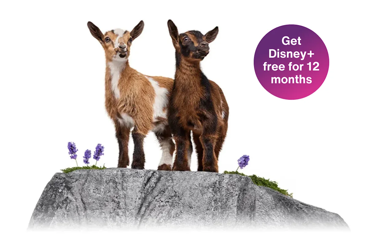 Get TELUS Internet from $50/mo. | TELUS