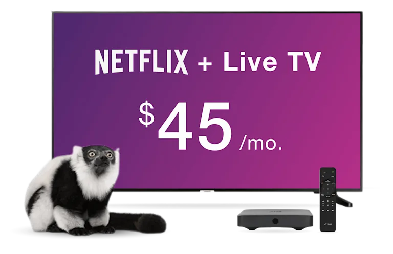 Enjoy Live TV With Netflix Included | TELUS