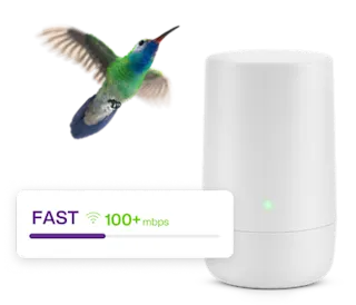 Home Internet - Get Unlimited High Speed Internet | TELUS