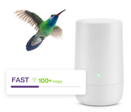 Home Internet - Get Unlimited High Speed Internet | TELUS
