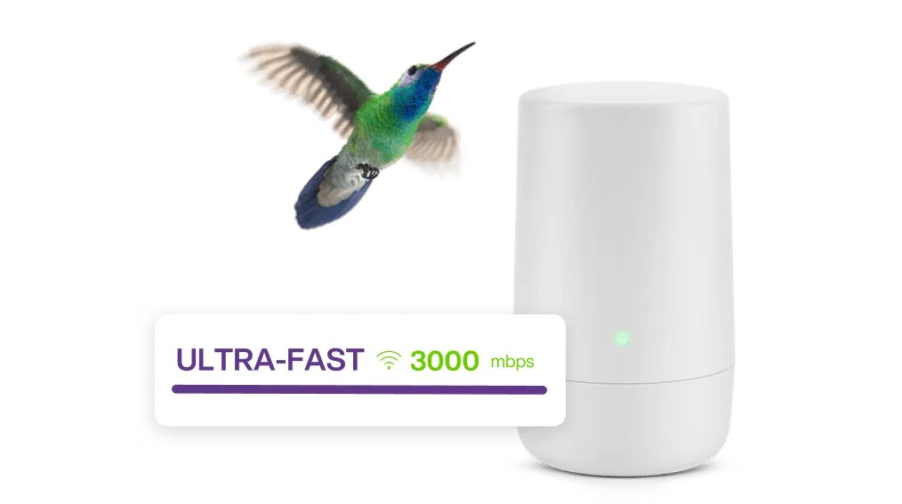 Home Internet - Get Unlimited High Speed Internet | TELUS
