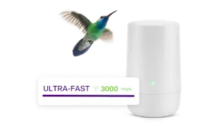 Home Internet - Get Unlimited High Speed Internet | TELUS