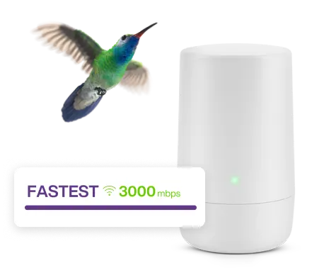 Home Internet - Get Unlimited High Speed Internet | TELUS