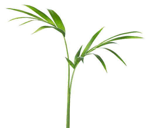 Kroll Care Plus | TELUS Health