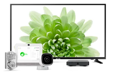 Enjoy Live TV With Netflix Included | TELUS