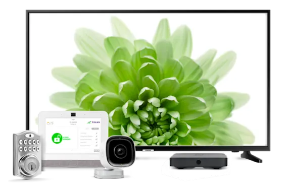 Enjoy Live TV With Netflix Included | TELUS