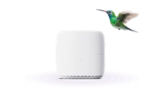 Internet Providers Calgary - Home Internet | TELUS