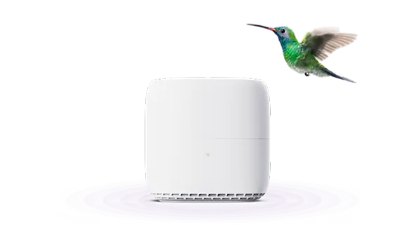 Internet Providers Victoria - Home Internet | TELUS