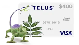 Deals & Bundles on Phones, Plans & More | TELUS