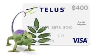 Deals & Bundles on Phones, Plans & More | TELUS