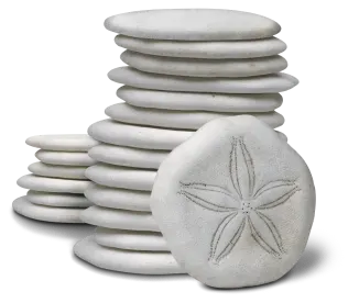 Connecting for Good Programs | TELUS