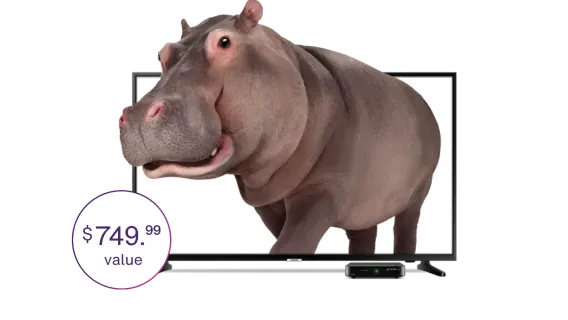 Home Internet - Get Unlimited High Speed Internet | TELUS