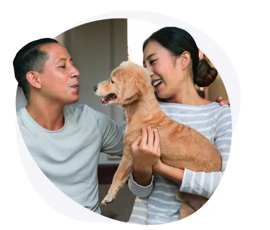 TELUS Health MyPet | TELUS