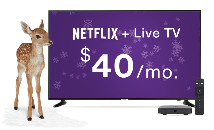 Enjoy Live TV With Netflix Included | TELUS