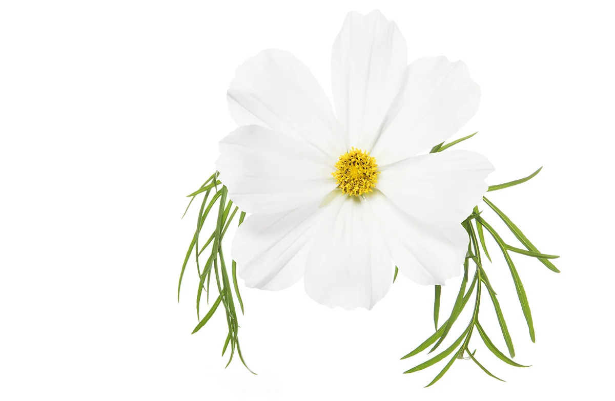 Financial reports, Investor Relations - About | TELUS