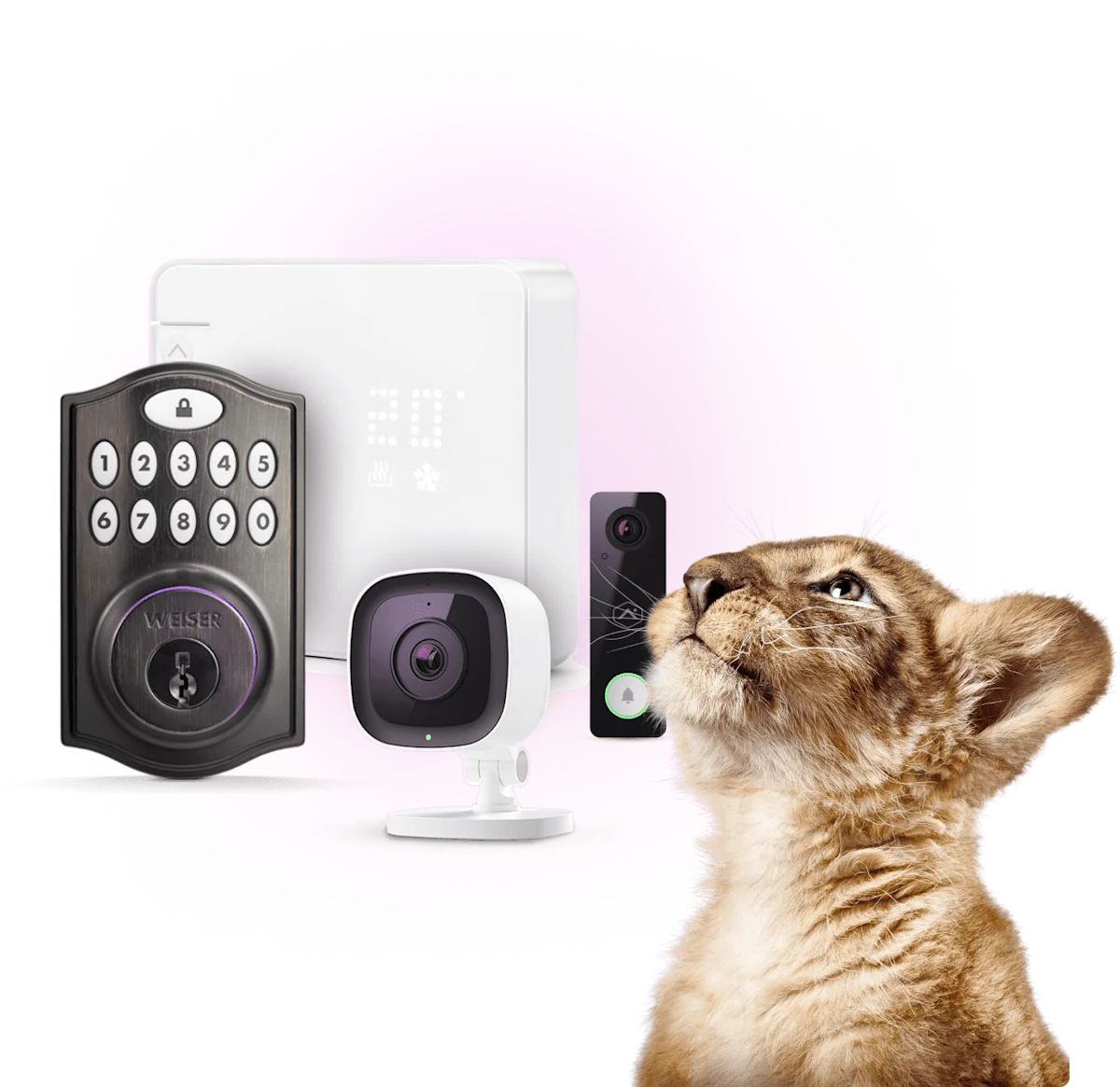 Save big by bundling Mobility and Home Services | TELUS