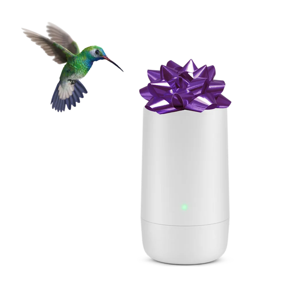 Home Internet - Get Unlimited High Speed Internet | TELUS