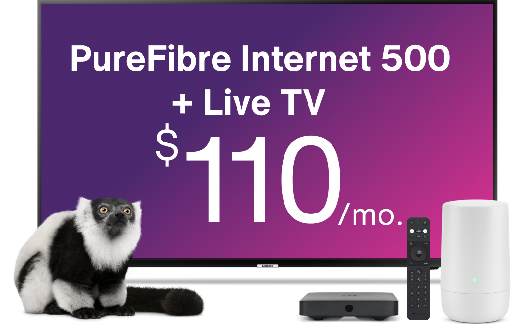 Live TV And Netflix With Internet 500 | TELUS