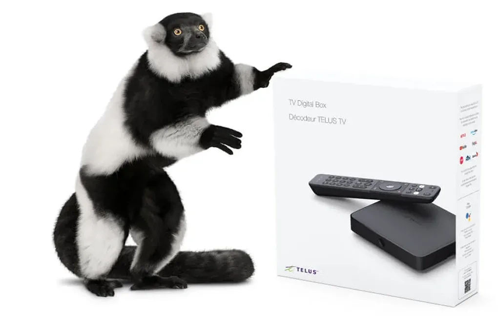 Optik TV - Get a 55” Smart TV when you Bundle TV + internet