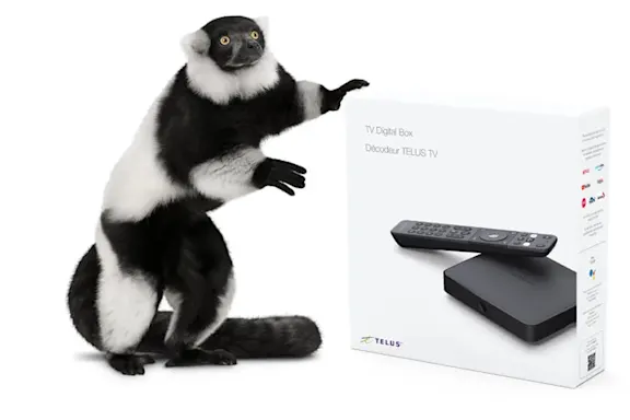 Optik TV - Get a 55” Smart TV when you Bundle TV + internet