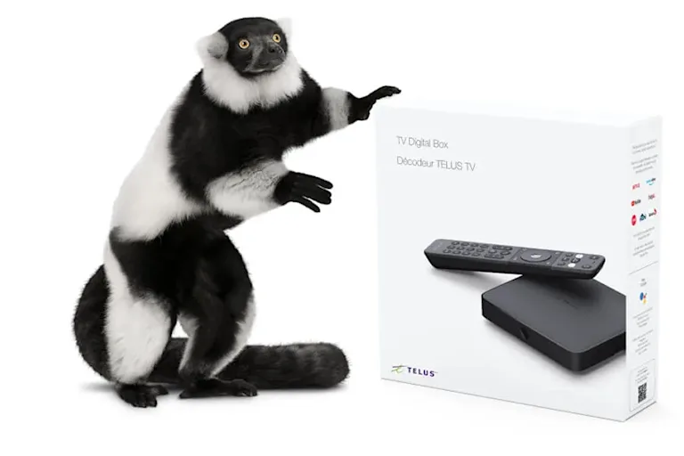 Optik TV - Get a 55” Smart TV when you Bundle TV + internet