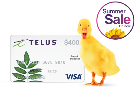 $400 Prepaid Visa With Optik TV And Internet | TELUS