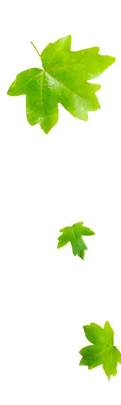 Annual Conference | TELUS Health