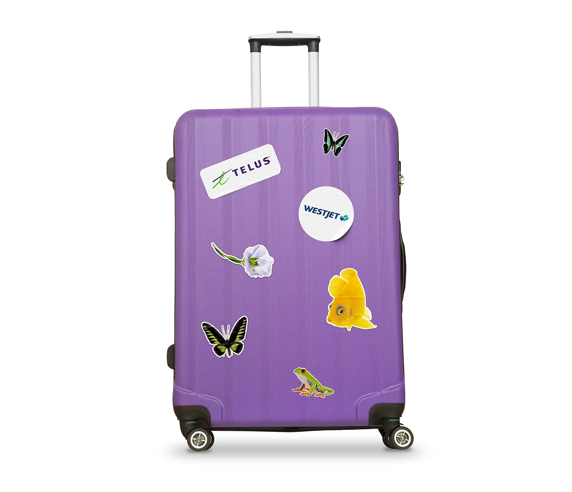 Connect your world, elevate your journey | TELUS