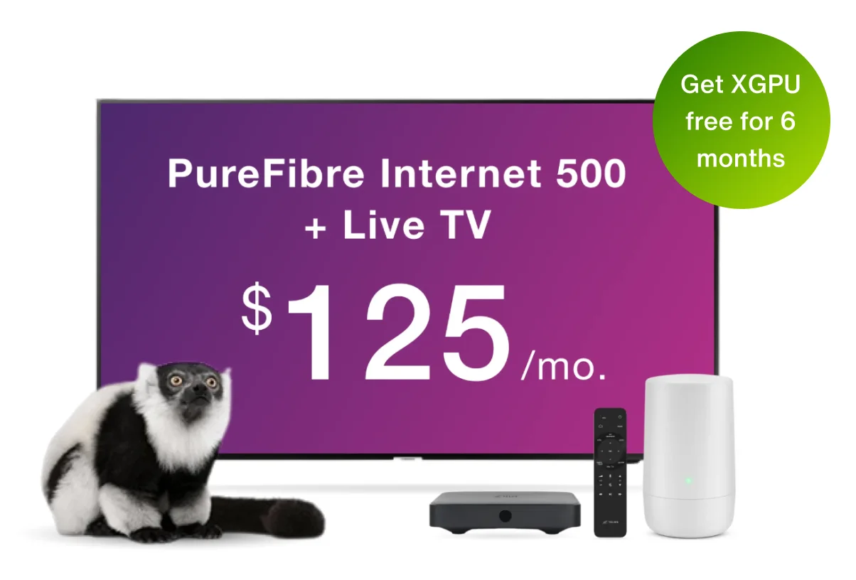 Live TV And Netflix With Internet 500 | TELUS
