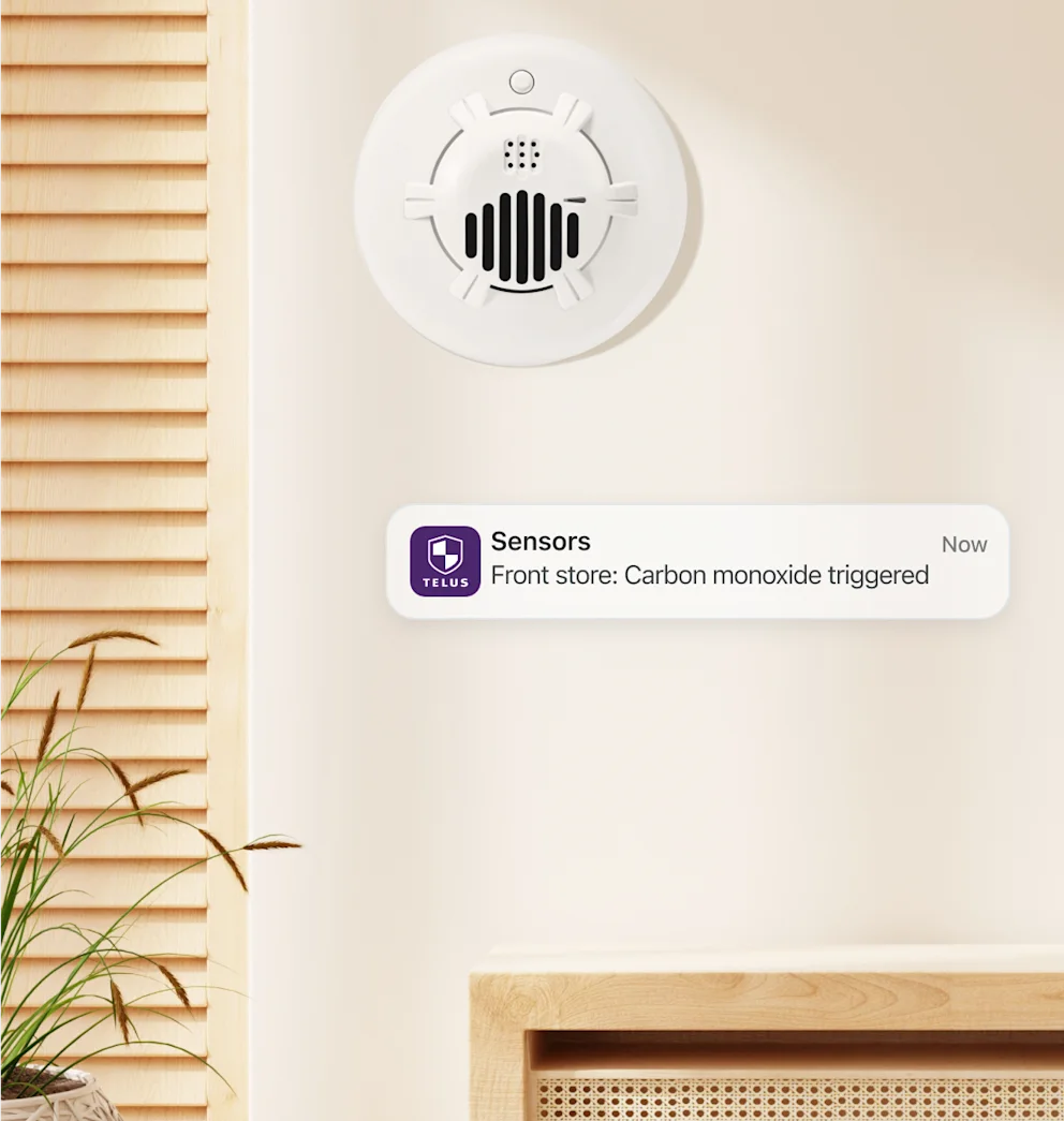 Commercial security cameras and devices | TELUS Business