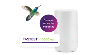 Home Internet - Get Unlimited High Speed Internet | TELUS